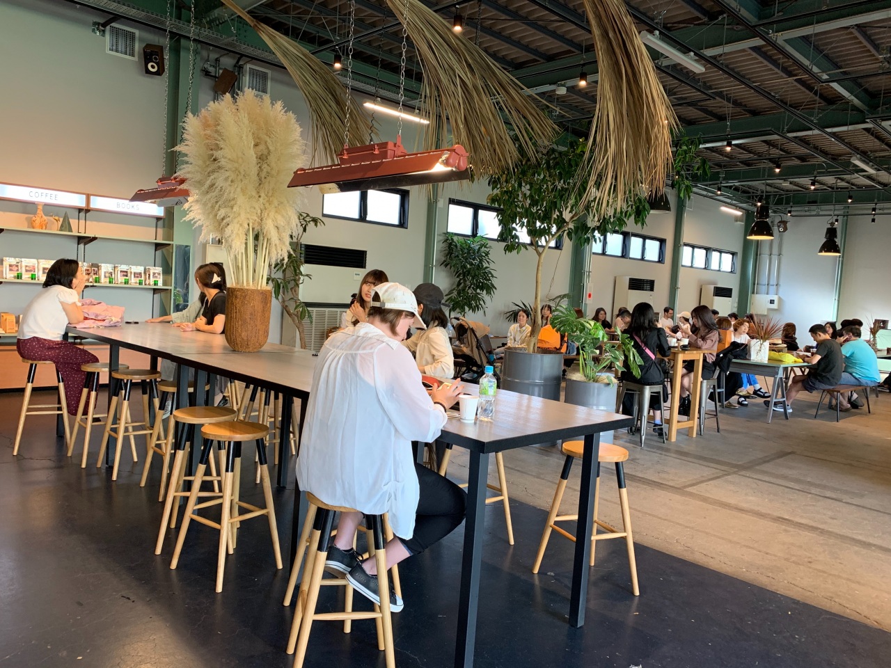 Little Darling Coffee Roasters | kollekkt