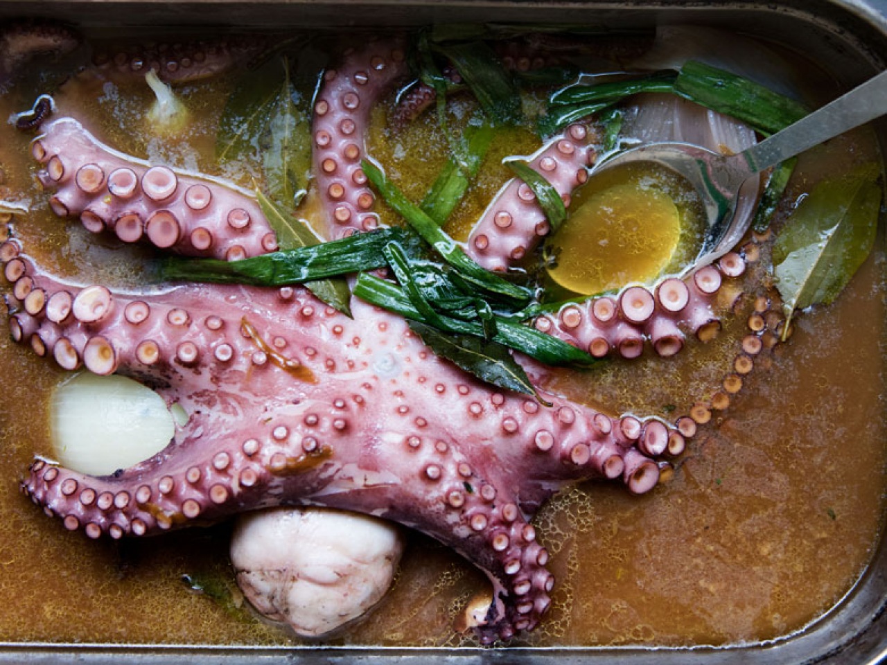 Morito Hackney Road | kollekkt